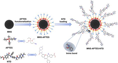 Scheme 1 Schematic Representation Of The Surface Modification And