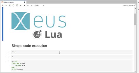 Usage — Xeus Lua Documentation