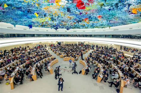Joint Letter To The United Nations Human Rights Council