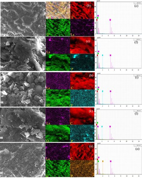 A SEM Image Of BC La B C EDS Analysis Of BC La D SEM Images Download Scientific