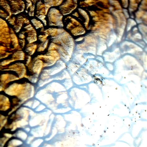 Marks Lazer Universe Laser Cutting