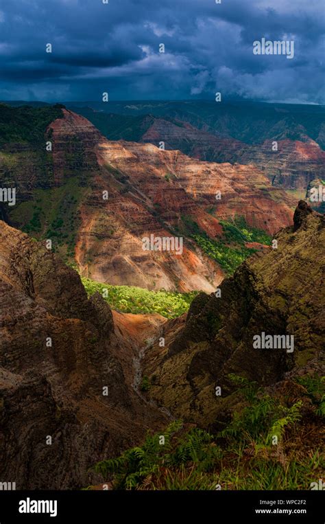 Overlooking Waimea Canyon State Park On The Island Of Kauai Hawaii