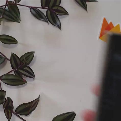 [video] what the flutter on linkedin flutter 12 comments