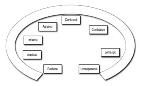 Lab 5 Code Management Flashcards Quizlet