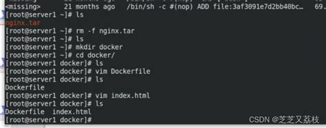 Docker镜像的分层结构、dockerfile的编写及镜像封装优化dockerfile分层打包 Csdn博客