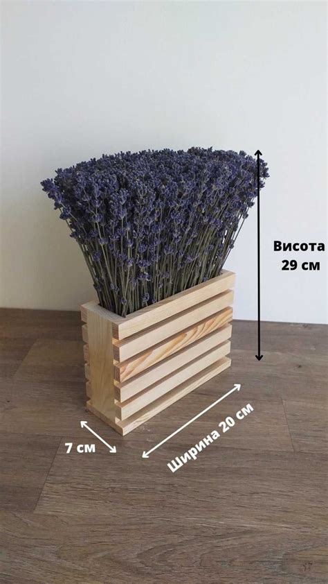 Кашпо з лавандою Лаванда букет 90 грн Інші товари для дому Запоріжжя на Olx