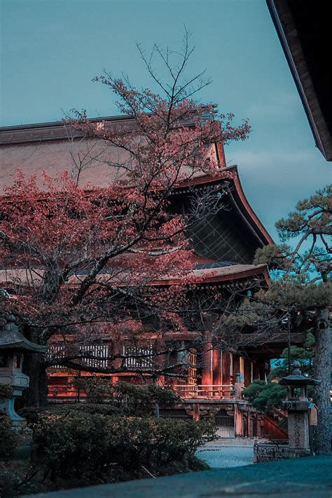 Untitled Alex N Flickr