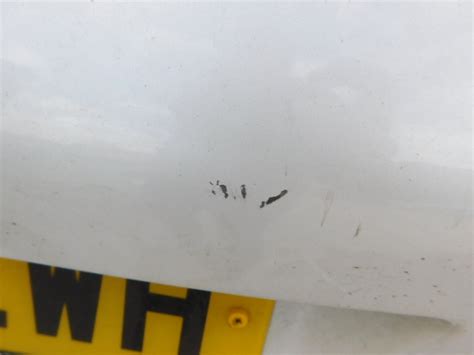 Damage Detection Roboflow Universe Damage Detection Roboflow Universe