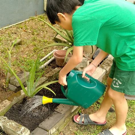 Sheldon And Emerson Chong Home Facebook