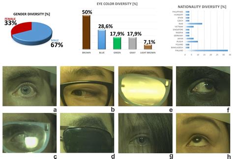 Image Sensors World Thesis On Open Source Eye Tracking Database
