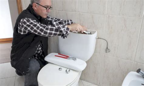 5 Formas De Evitar Que Tu Inodoro Se Detenga