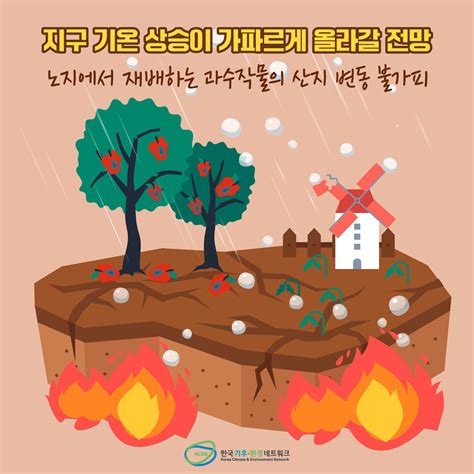 한국기후환경네트워크 기후변화로 인한 추석 과일 물가 비상 국내 주요 과수작물의 생산량과 품질에 Facebook