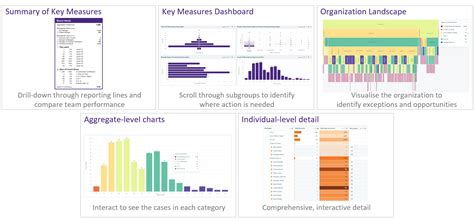Orgvues Template Packs For Organizational Analysis