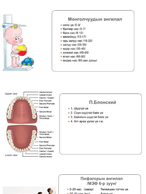 хүүхдийн өсөлт хөгжил Pdf