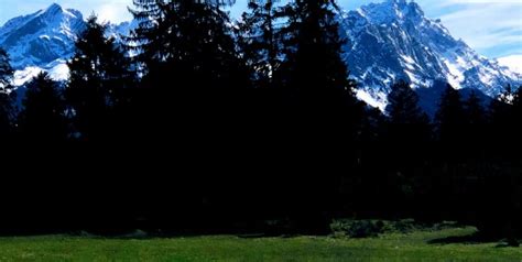 Alpinejs Custom Events Fast Communication Between Components