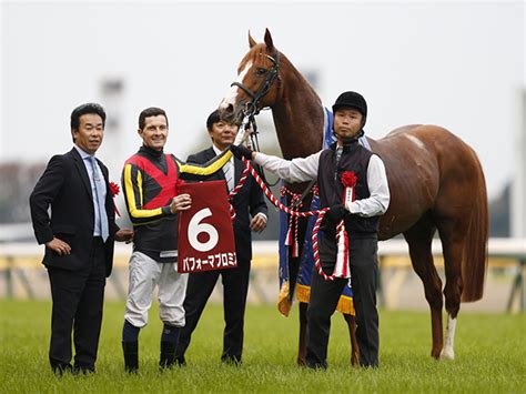 【先週のjra抹消馬】重賞3勝馬パフォーマプロミス、ゴールドシップ産駒初の重賞馬ブラックホールなど 競馬ニュース