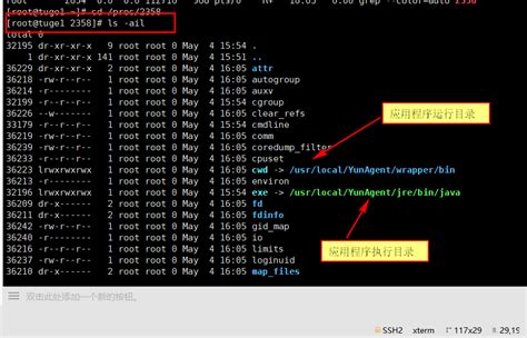 Linux 使用kill杀不掉进程解决方案 shuai boy 博客园