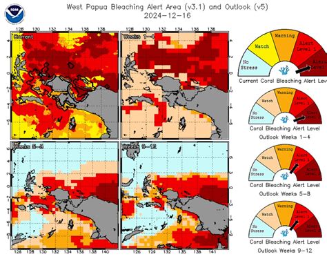 The Worlds Fourth Coral Bleaching Event How Its Affecting Raja Ampat