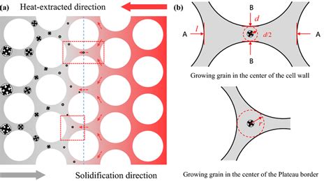 A Schematic Diagram Of An Area In The Foamed Aluminum Melt During