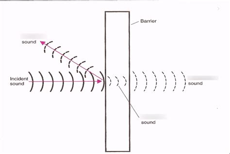 Cmd 278 Acoustics Diagram Quizlet