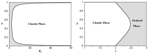The Phase Space Of Boolean Networks With Random Left And Scale Free