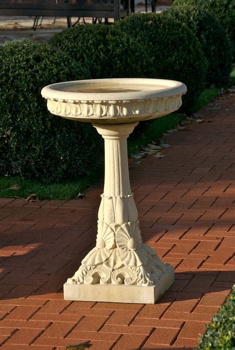Bird Bath Victoria Bc At Phoebe Reddall Blog