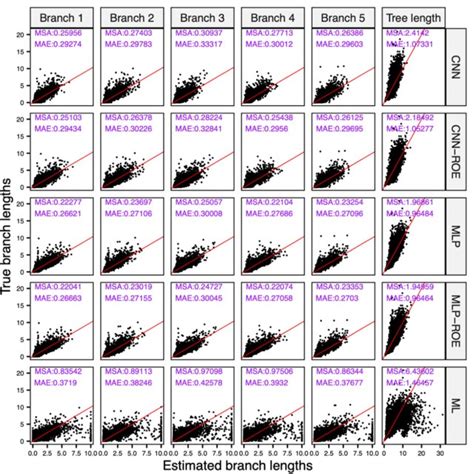 Correlation Between Estimated And True Branch Lengths Drawn From Download Scientific Diagram
