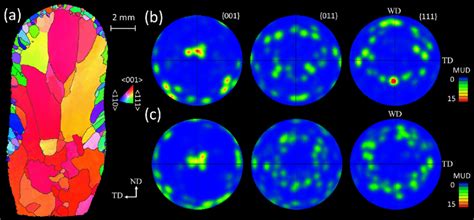 Reconstructed β phase EBSD orientation data from the Ti64 WAAM sample Download Scientific