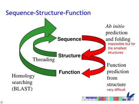 Ppt Bioinformatics Master Course Dnaprotein Structure Function Analysis And Prediction