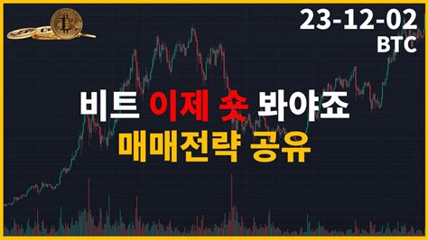 비트코인 슬슬 숏 매매 전략 공유할께요 23 12 02 비트코인 차트분석 T의트레이딩룸 Youtube