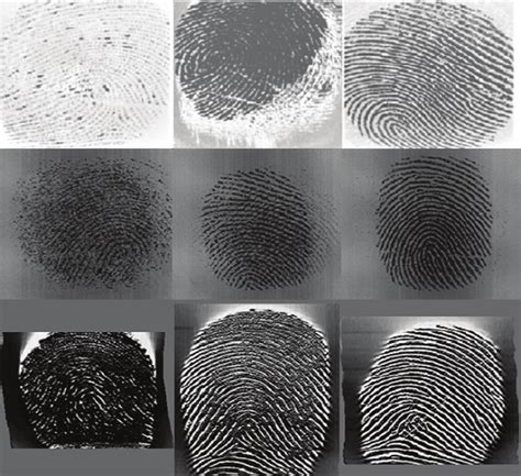 Fingerprint Images From Different Capture Sensors With Different Download Scientific Diagram