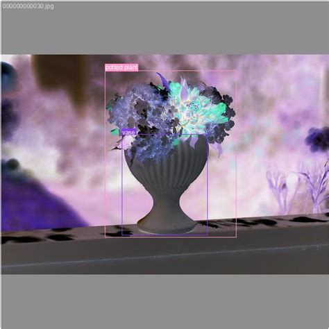 Image Inverting When Using The Cpu Backend · Issue 11726 · Ultralytics