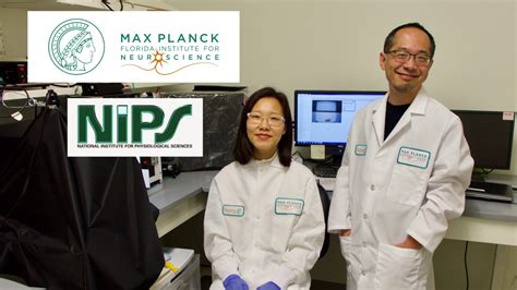 In A Flash Dissecting Memory With Light The Mind Voyager