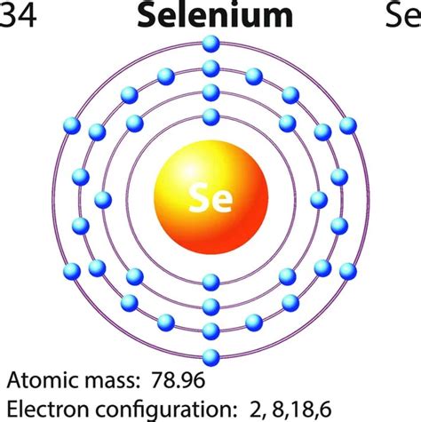 Symbol Electron Diagram Selenium Stock Vector By ©yay Images 622782852