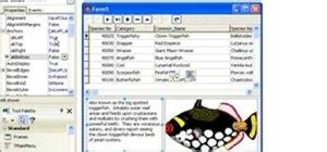 How To Use The OnDrawColumnCell Event When Programming Delphi HTML
