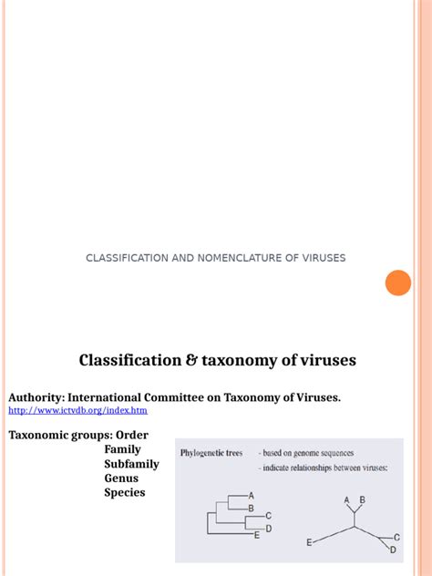 Classification Of Viruses Pdf Virus Sense Molecular Biology