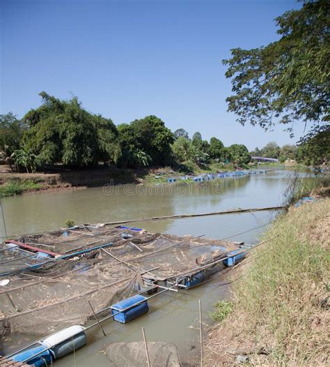 Cage Fish Farming Stock Image Image Of Riverside House 67418249