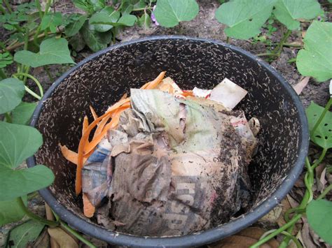 Composting In A Small Garden TheSeedCollection