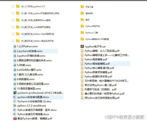 Python爬虫做副业！解锁python爬虫挣钱方式爬虫技术副业搞钱秘籍 Csdn博客