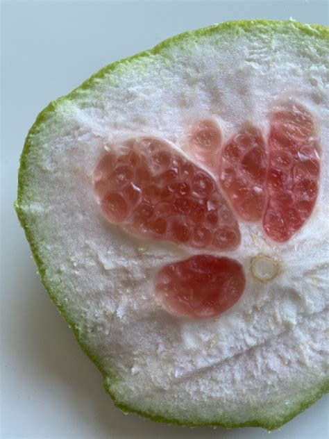 Congratulations To Meche Professor Greg Mcdaniel For His New Neec Grant Sean Andersson