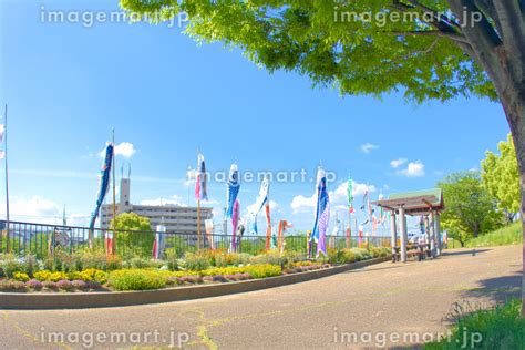 Hiromiさんが販売中の画像素材一覧写真素材イラスト販売のイメージマート