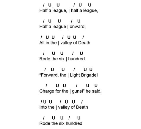 Dactylic Dimeter Has 2 Feet Per Line