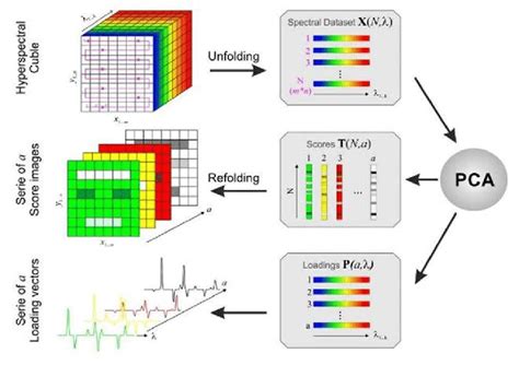 Flow Chart Of Hyperspectral Libs Imaging Coupled With Pca Analysis The Download Scientific