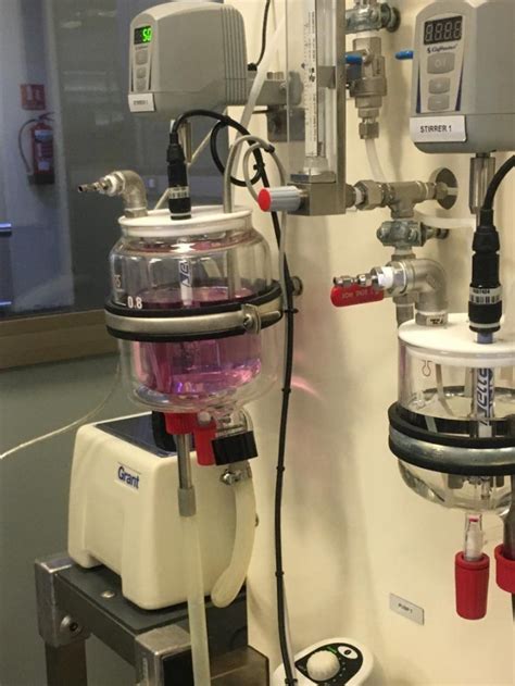 Nacl In Single Cstr R1 Download Scientific Diagram