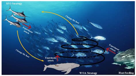 Mathematics Free Full Text Enhanced Remora Optimization Algorithm For Solving Constrained