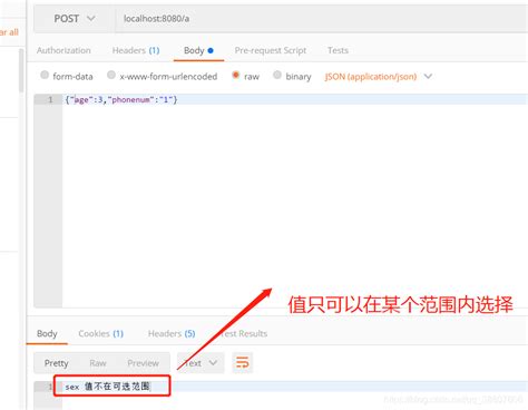 后端对前端参数校验（包括自定义注解）后端怎么限制前端传过来的参数只能为字母 Csdn博客