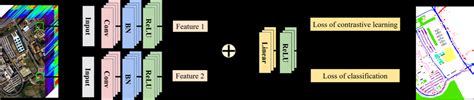 graphical illustration of dual learning based siamese network dlsn