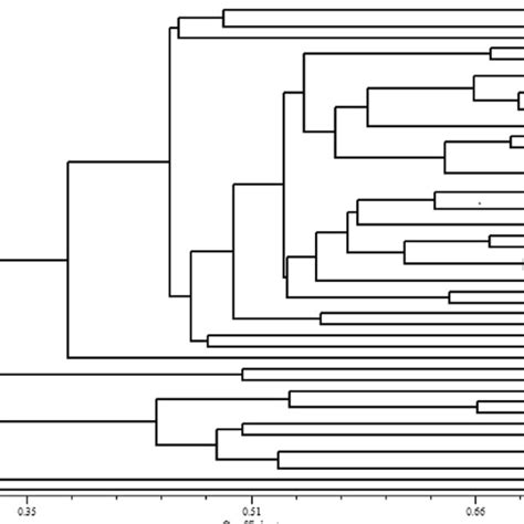 clustering of genotype based on the morphological diversity download