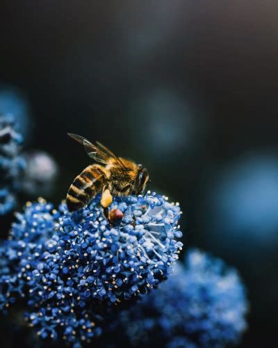 Busy Worker © S҉ᕱცᏒᎥภᕱ Tumbex