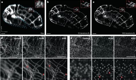 Michele Ferrante On Linkedin 🌟 Where Live Cell Imaging Microscopy Meets Computation Methods 🌟 🔬 In…
